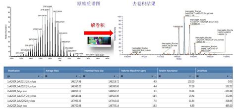 生物制品质量研究 广州法尔麦兰药物技术有限公司