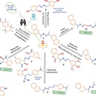 Workflow Scheme Of Design Strategy Download Scientific Diagram