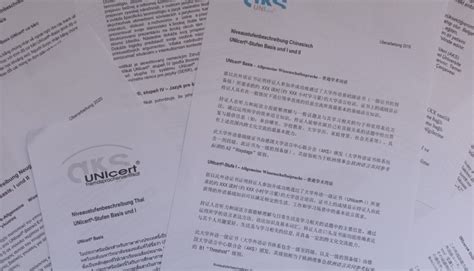 Niveaustufenbeschreibungen Unicert