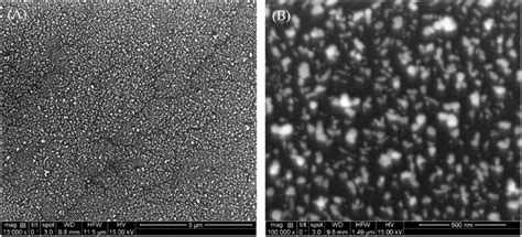 A Sem Image Of The Ag Nanostructure Sers Substrate Scale Bar Five