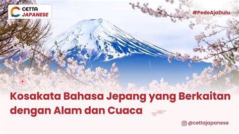 Apa Arti Yareu Yang Lagi Trending Di Sosmed