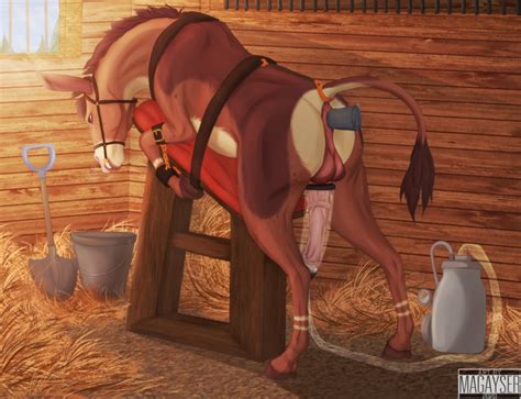 Rule 34 Anal Anal Sex Anus Asinus Backsack Balls Barn Breeding Mount