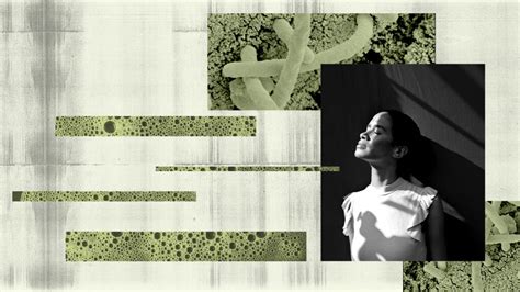 Multiple Sclerosis Gut Bacteria May Have Anti Inflammatory Effects