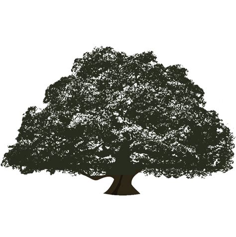 Tiny Home Builder Australia Big Fig Tiny Homes