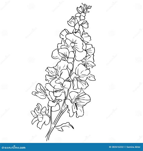 Larkspur Line Art Delphinium Outline Illustration July Birth Month