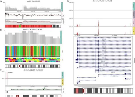 Bmc On Linkedin Ggcoverage An R Package To Visualize And Annotate Genome Coverage For