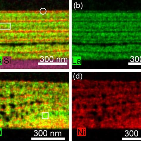 Elemental Mapping Of A B Lno 650 And C D Lno 800 Marked Regions