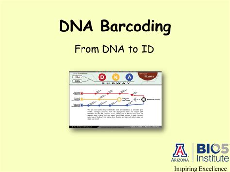 Dna Barcoding From Dna To Id