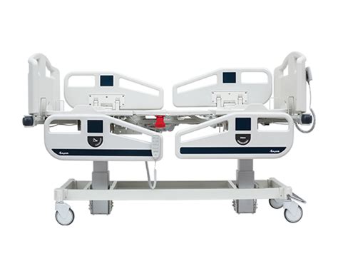 Mys 5550ne Meyosis