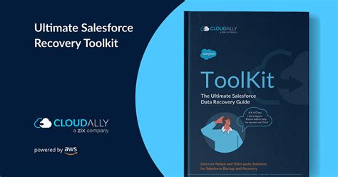 Toolkit How To Recover Deleted Salesforce Data Opentext Cloudally Backup