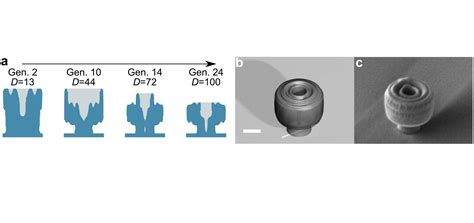 Directivity To Improve Optical Devices