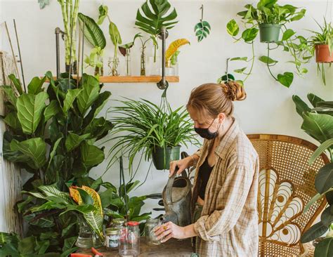 Glass Rooting Containers High Potential Low Code How Modular