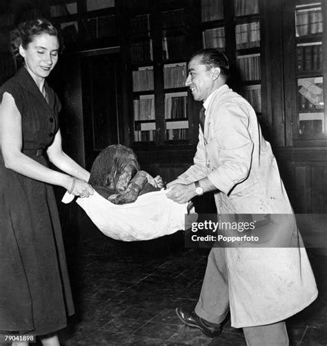 Mummy Texture Photos And Premium High Res Pictures Getty Images