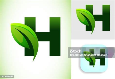 잎이 있는 초기 H 알파벳입니다 친환경 로고 개념 비즈니스 및 회사 정체성에 대 한 그래픽 알파벳 기호입니다 0명에 대한 스톡