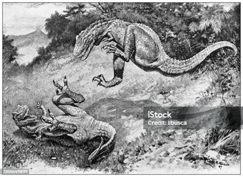 Ilustración De Ilustración Antigua Dinosaurios Dryptosaurus Y Más