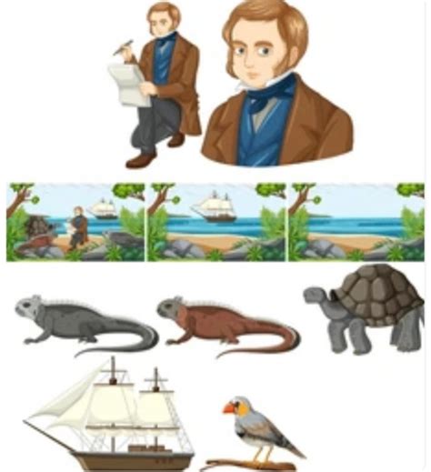 Microevolution And Macroevolution Zoologytalks 2024