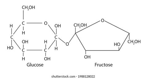 Estructura Molecular De La Sacarosa Balan