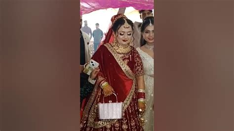 हेरी सखी मंगल गावे री Youtubeshorts Trendingshorts Song Pritee