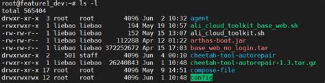 linux ls命令 正儿八经 资深java react工程师