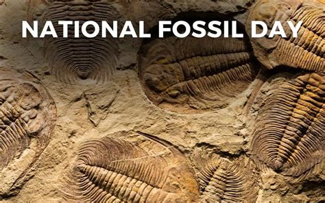 National Fossil Day October 9 2024 Angie Gensler