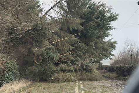 Exercise ‘extreme Caution In Aftermath Of Storm Éowyn Council Donegal Daily