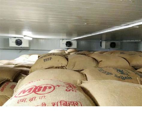 Seed Storage Dehumidifier Storage At ₹ 500000 Piece Dehumidification System In Vadodara Id