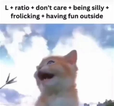 Stole This From Instagram L Ratio Dont Care Being Silly