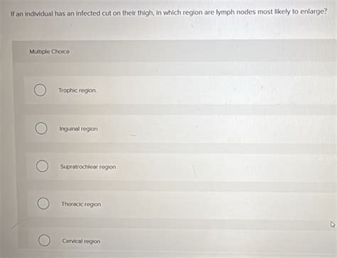 Solved If An Individual Has An Infected Cut On Their Thigh In Which Region Are Lymph Nodes