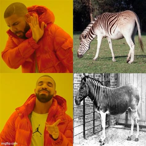 Drake Hotline Bling Meme By Greenteen80 On Deviantart