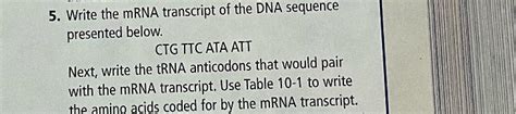Solved Write The Mrna Transcript Of The Dna Sequence