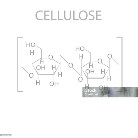 Cellulose Molecular Skeletal Chemical Formula Stock Illustration Download Image Now Art