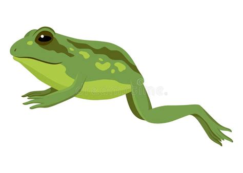 Frog Jumping Animation Icon Sequences Or Footage For Motion Design Cartoon Toad Jumping