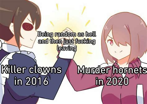 Time Flies Ranimemes