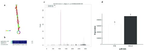 Multiple Sequence Alignment And T Plot A Predicted Secondary Download Scientific Diagram