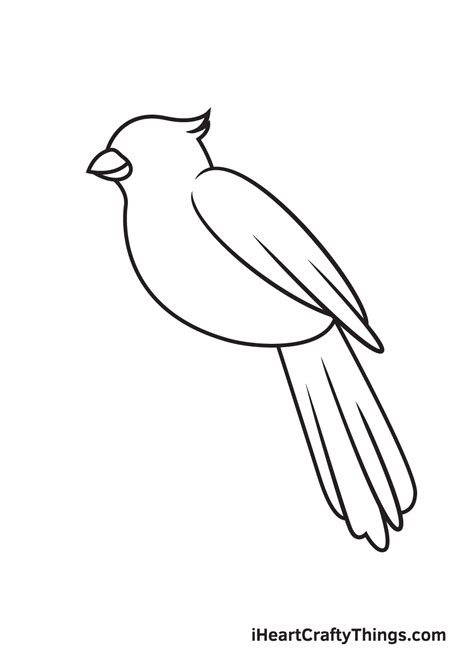 Cardinal Drawing How To Draw A Cardinal Step By Step