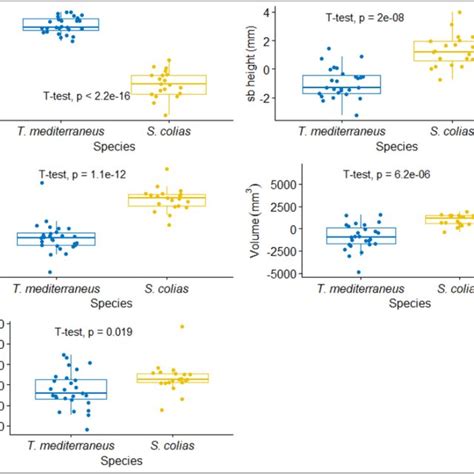 Net Sampling Positions Black Dots The Figure Also Reports The