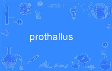 Prothallus百度百科