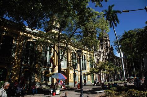 Ignacio Piedrahíta Visita A San Ignacio El Libro De Los Parques