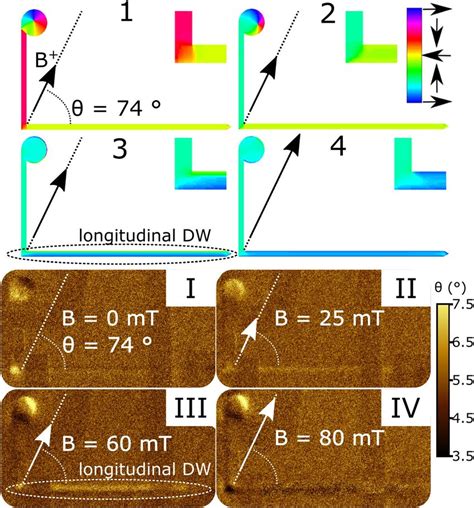 Top Simulated Magnetization Spatial Distribution In The L Shaped Py