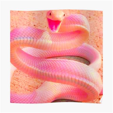 Wow Logo Poster For Sale By Assadkhan Redbubble