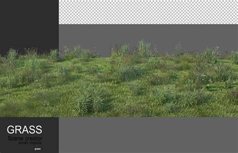 Premium Psd Many Grasses And Plants On The Ground