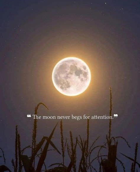 Pin Di Nadeem Ahmed Su Quick Saves