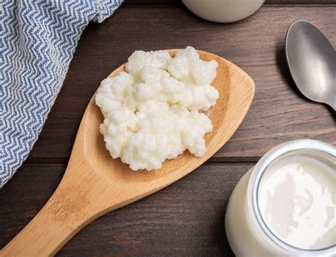 What Are Milk Kefir Grains And Where To Find Them Revolution