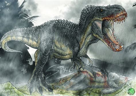 V Rex Drawings