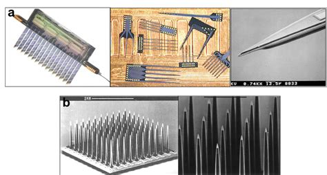12 A The Michigan Electrodes 64 Site Probes Assembled In 3d