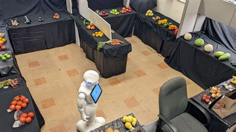 Active Class Selection For Few Shot Class Incremental Learning Robot Ethics And Aerial