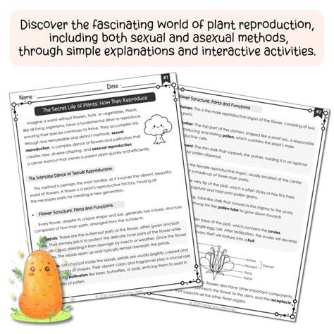 Sexual And Asexual Reproduction In Plants Reading Comprehension And