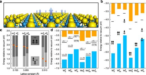 Anion Antisite Defects In Six 1h Transition Metal Dichalcogenides A A