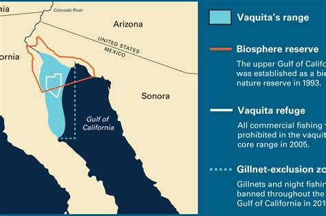 Vaquita Refuge Smithsonian Ocean