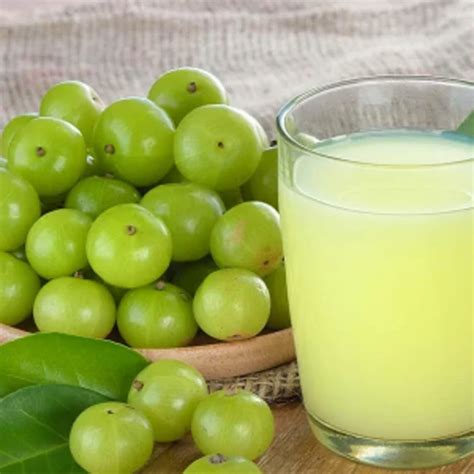 Frozen Amla Pulp Packaging Size 500 G At Best Price In Bhandara Id